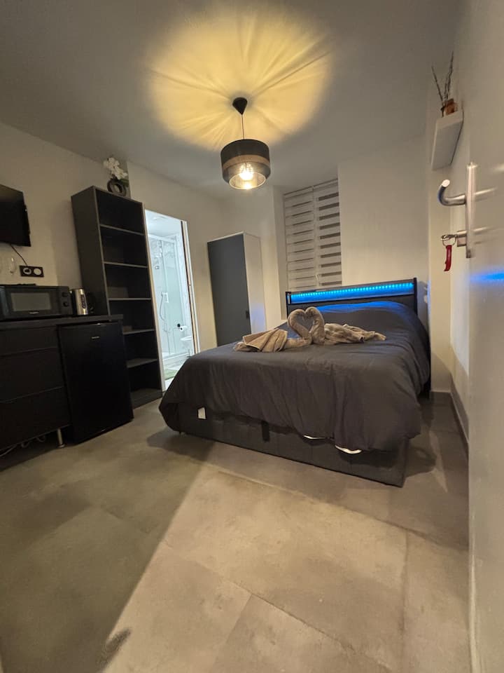 Studio En Plein Cœur, Du Centre-ville D’orléans - Orléans