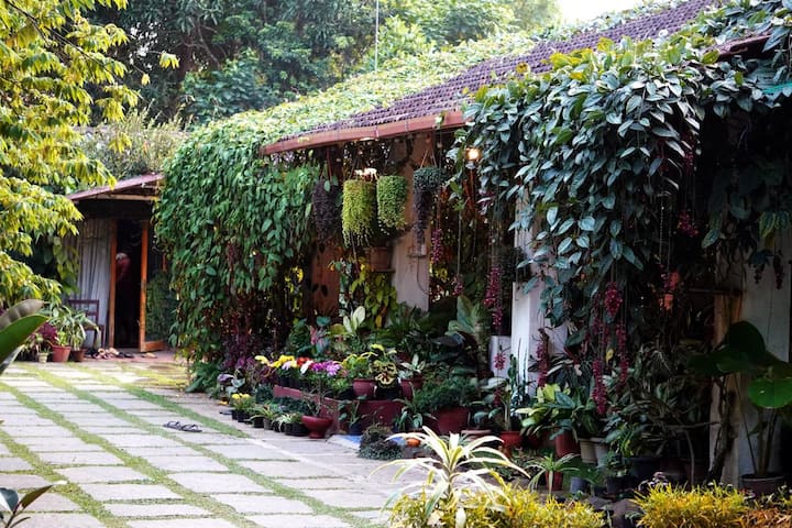 Edge Stay – “A Beautiful Eden” - Belur