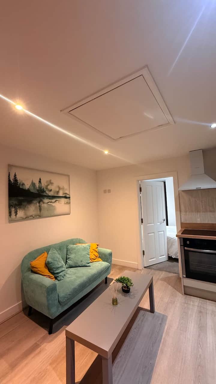 1 Bedroom Fully Furnished Apartment. - Leicester