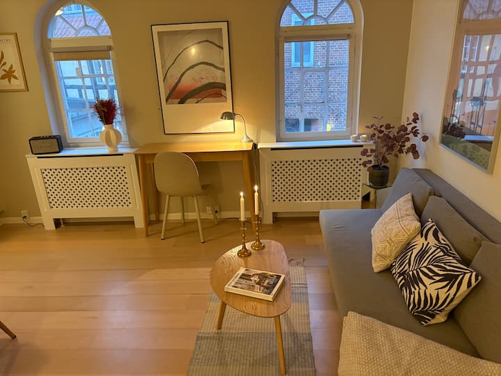 Centralt Beliggende Lejlighed Ved Pustervig Torv - Aarhus