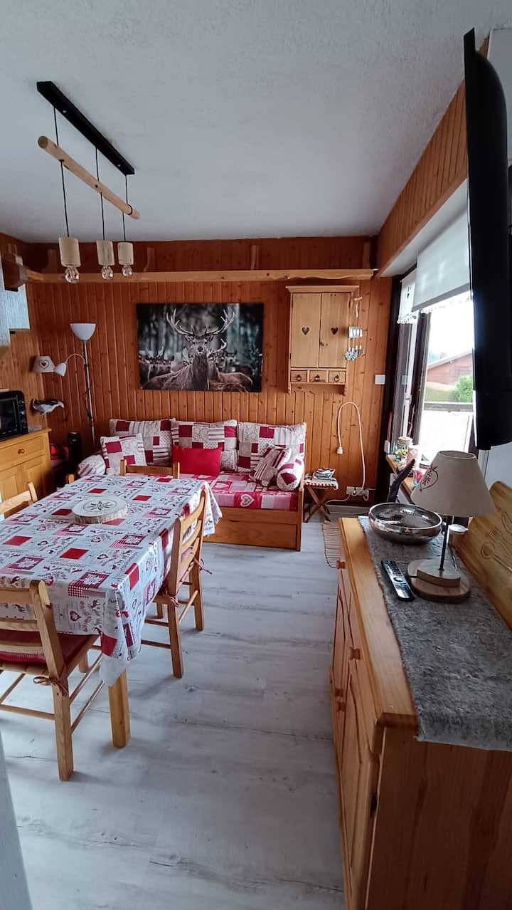 ÉVasion Alpine : Ski & Vue Lac Léman - Thollon-les-Mémises