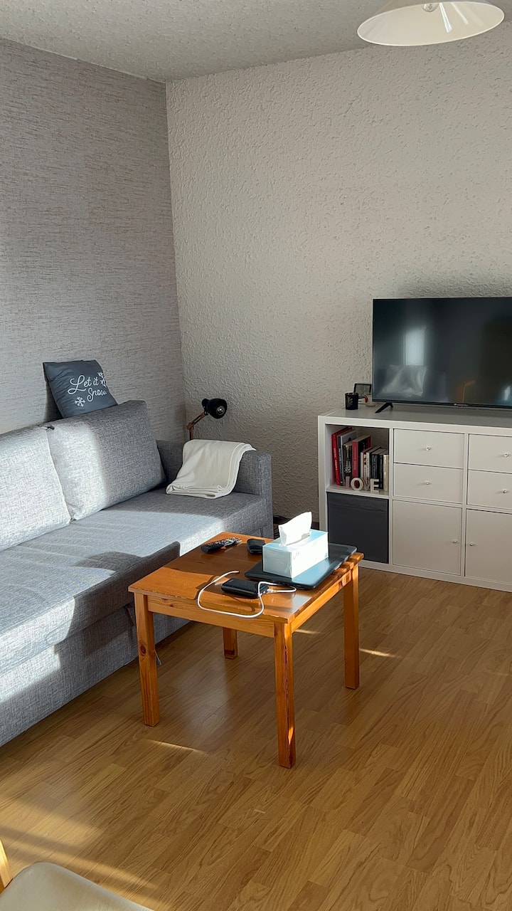 Appartement Cosy Avec Terrasse Exposée Sud-est. - Pra-Loup