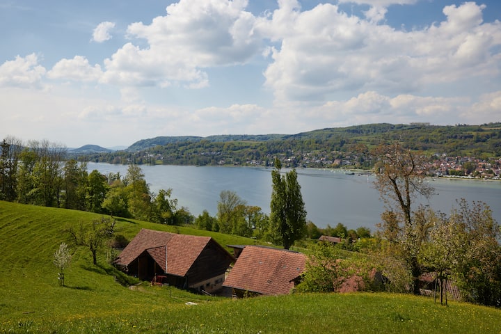 Schlafen Im Stroh Auf Dem Rollirain - Black Forest