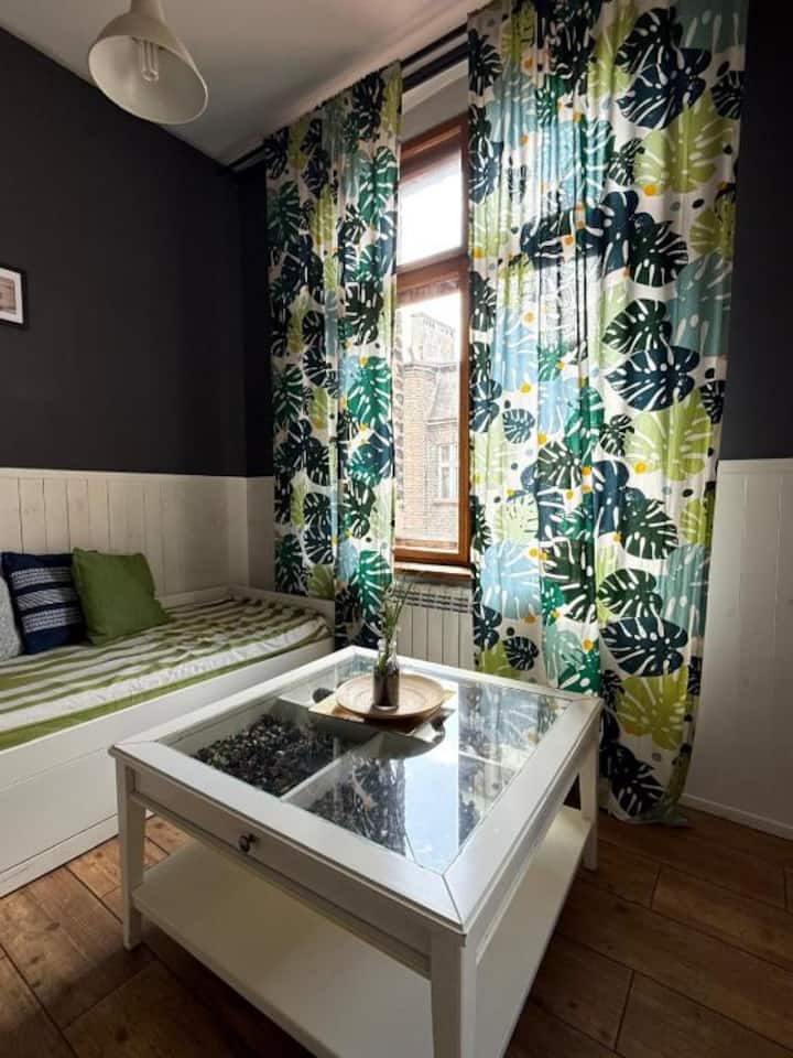 Chopin Spacious Two-bedrooms Balcony Apartment - Katowice