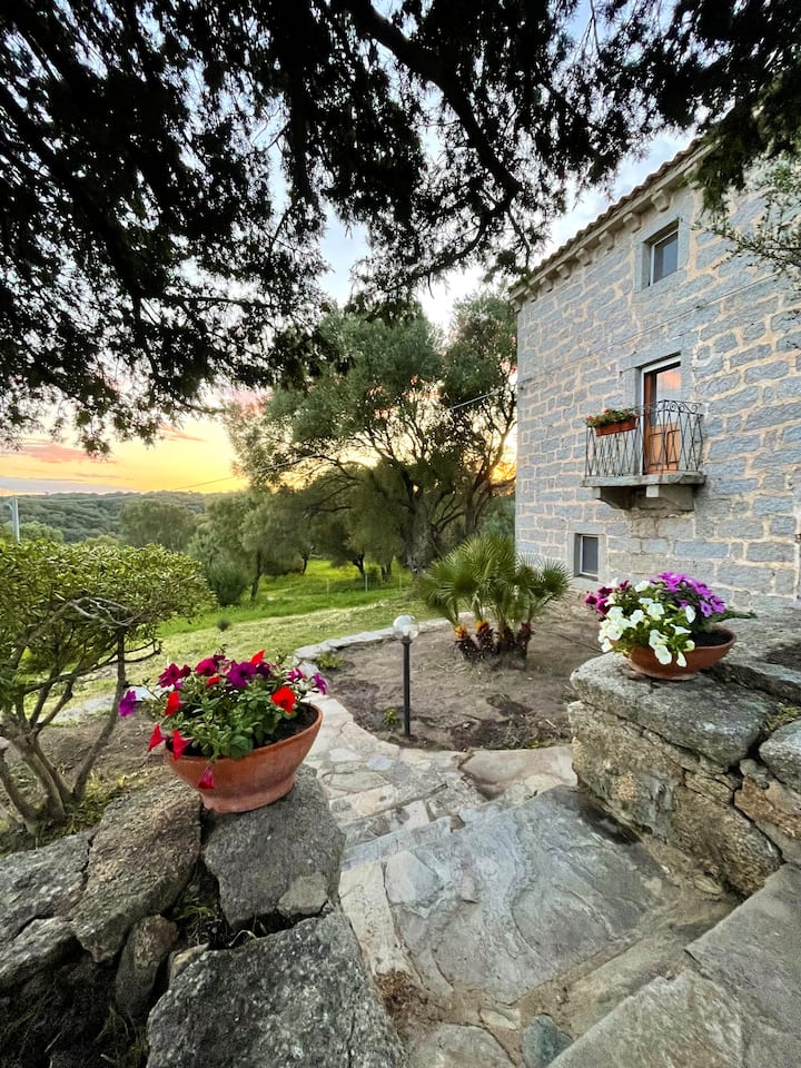 Antico Stazzo Tra Gli Olivastri – Charme E Relax - Italy