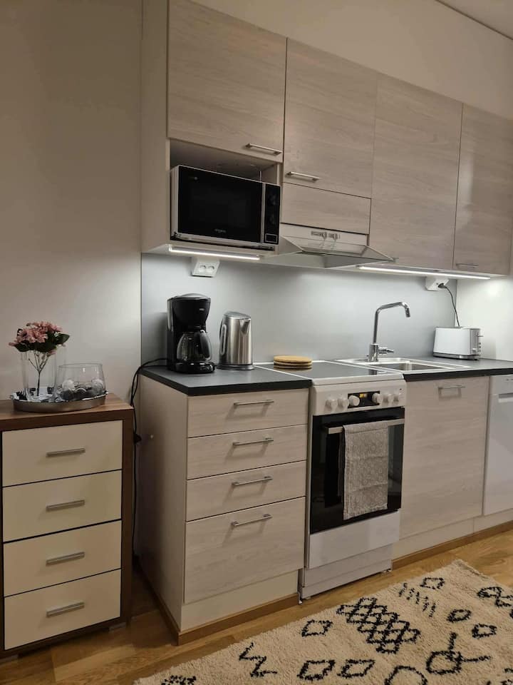 Yksiö Yliopiston Kampuksella - Joensuu