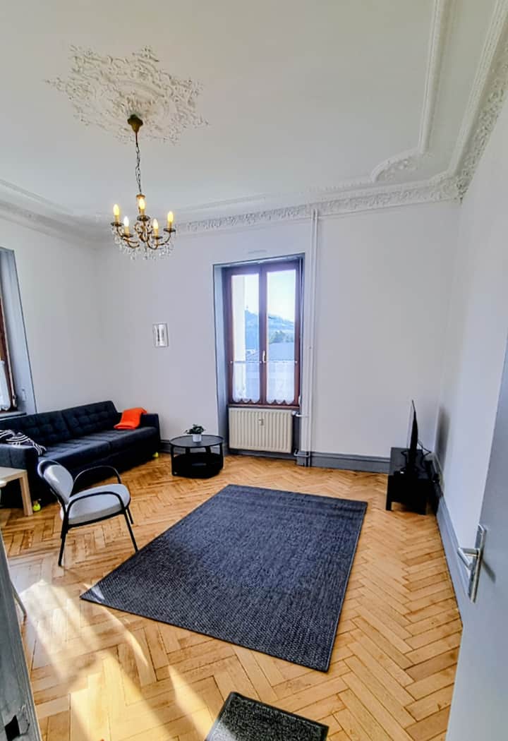 Plein Sud – 2 Pièces Lumineux - Altkirch - Altkirch