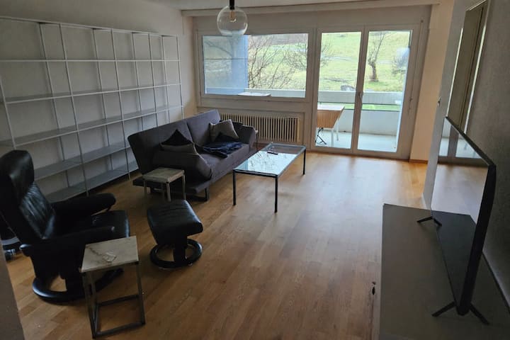 Bright Flat Near Uetliberg Paths, Easy Train To Hb - Zürich