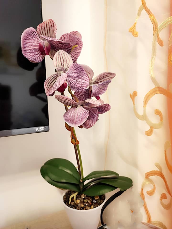 Grazioso Monolocale Nel Pieno Centro Di Cagliari - カリアリ