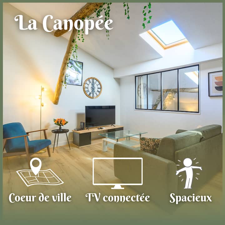 T3 Dupleix - Hypercentre - Calme - Idéal Groupe - Montauban