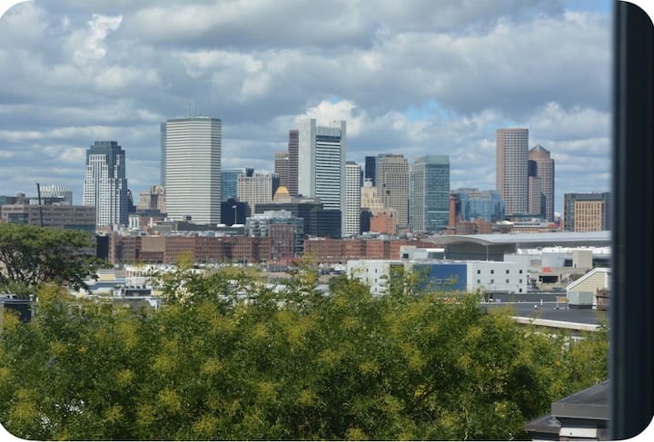 1 Br Lux Apt, Wi-fi, View Of Boston, Free Parking - Boston