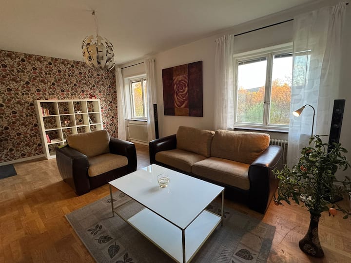 Ett Eget Hyreshus Med Sex Lägenheter I Ljungaverk - Suède