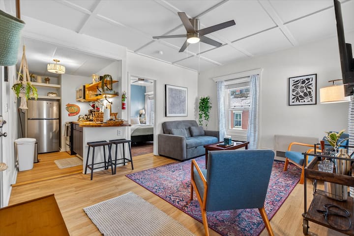 1br By Church St : Balcony & Parking- Walk To Lake - Burlington, VT