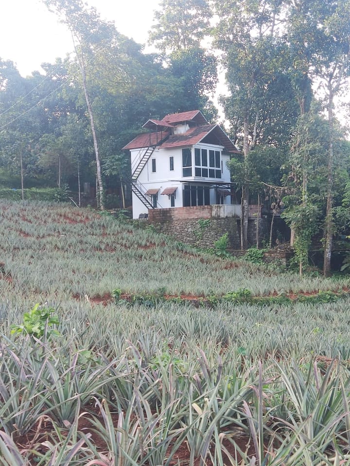 Outhouse - Thodupuzha