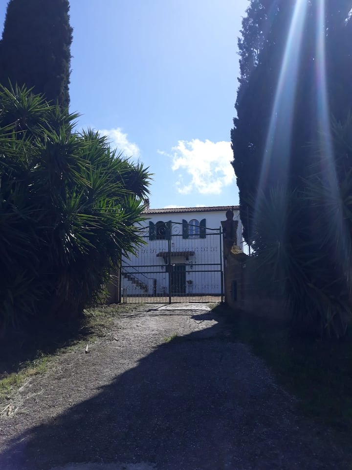 Casale Tra Ulivi E Grano A 15 Minuti Dal Mare - Tuscania