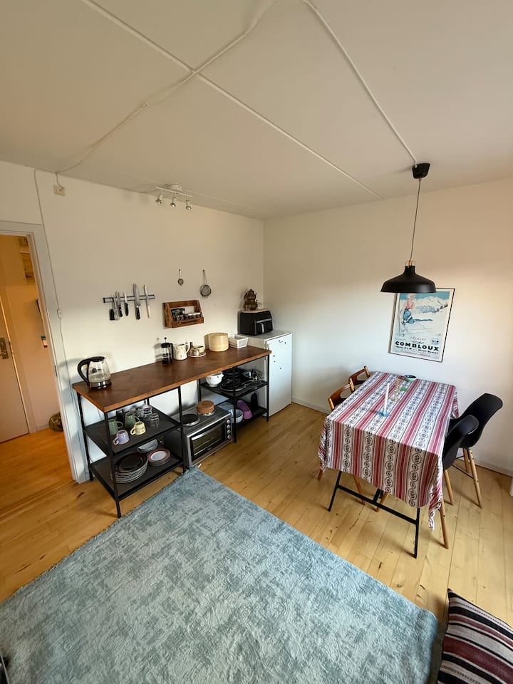 Walkable Nørrebro Flat Near Everything! - Copenhaguen
