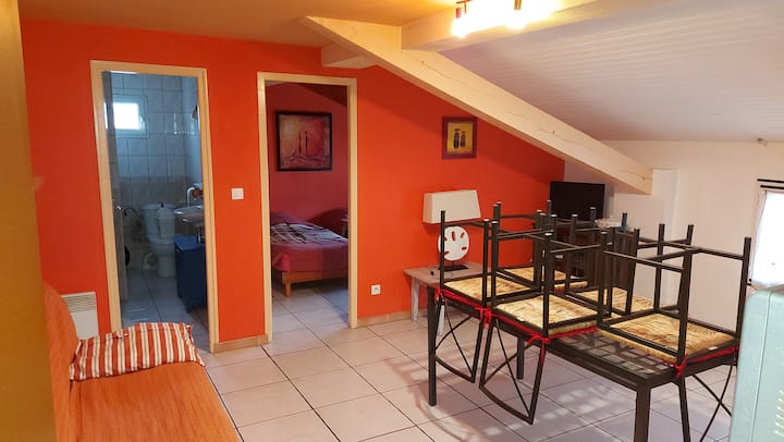 Maison Avec 4 Appartements - Mont-de-Marsan