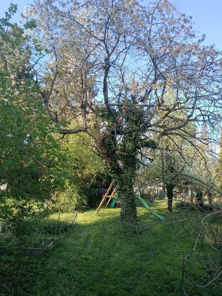 Nuitée Au Calme - Saint-Amand-les-Eaux