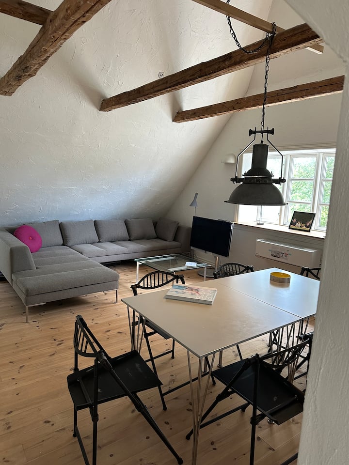 Stor Charmerende Feriehus I Hulsig. - Skagen
