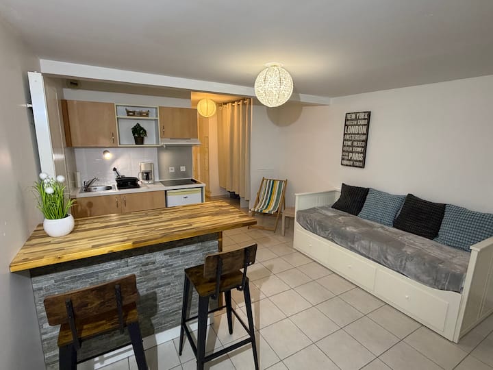 Studio Au Pied Du Col De La Faucille - Échenevex