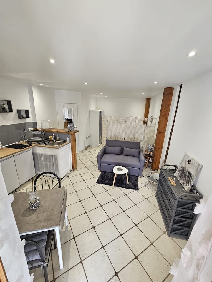 Studio En Rez De Chaussée De Maison De Ville - Tassin-la-Demi-Lune