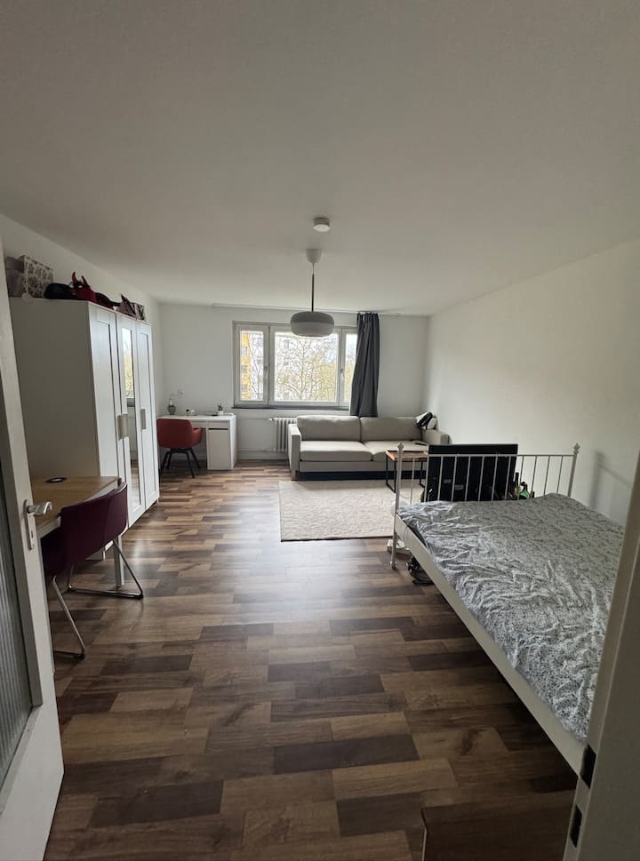 Helle Und Ruhige Einzimmerwohnung - Mainz