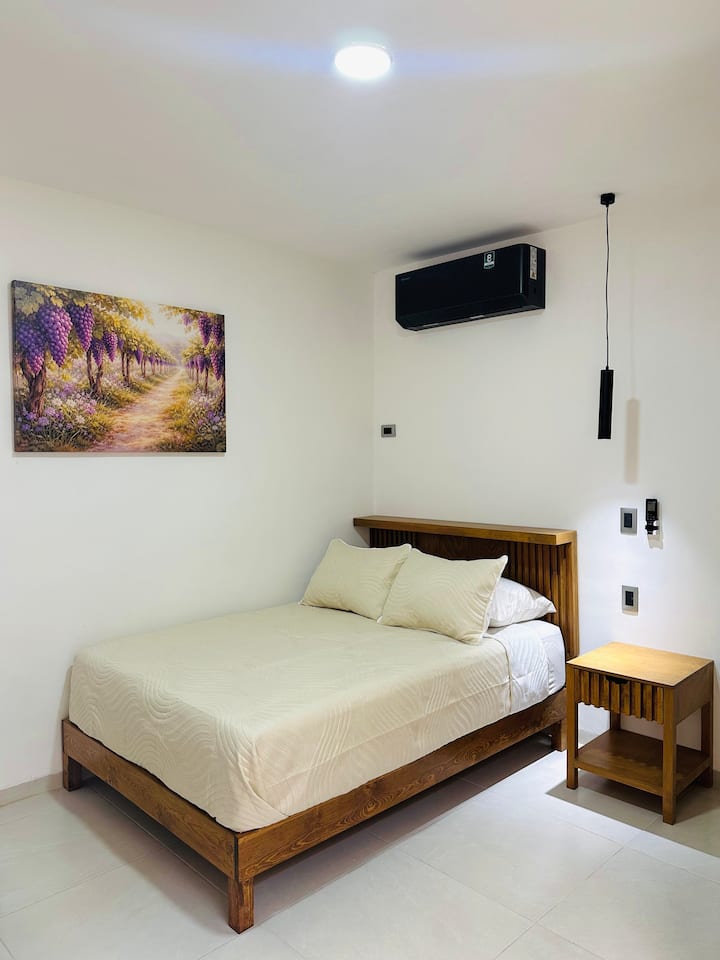 Loft Nuevo En Zona Centro Aguascalientes - Loft 12 - Aguascalientes