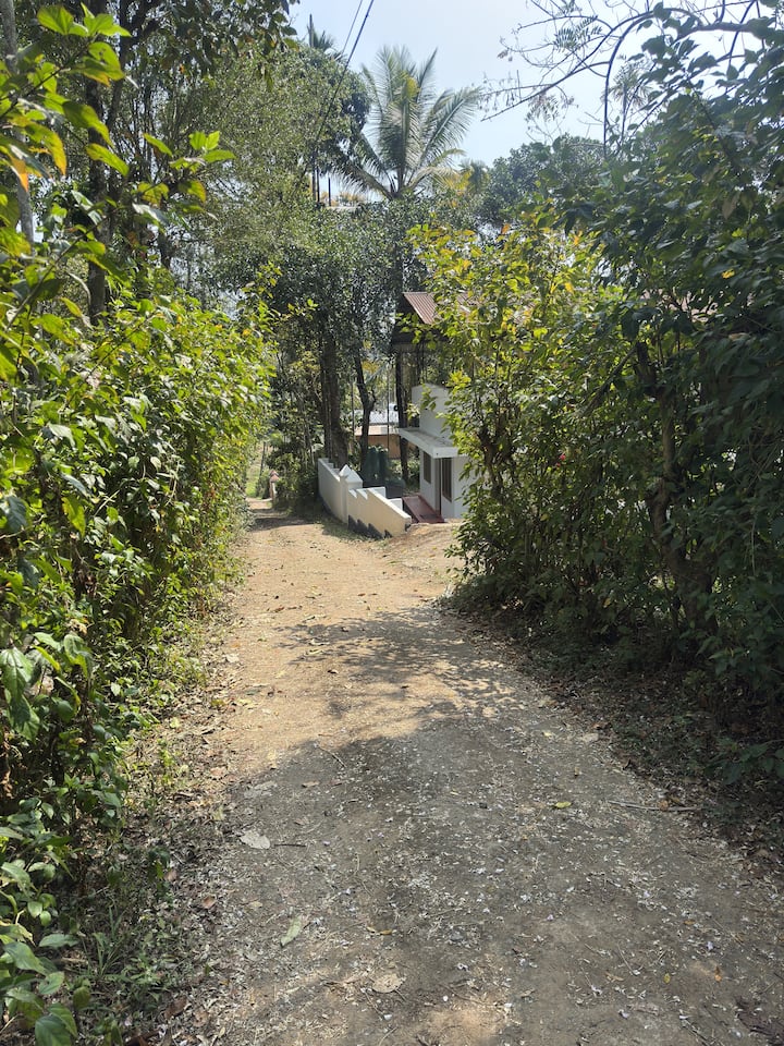 Hibisco Hideout - A Budget Stay - Wayanad