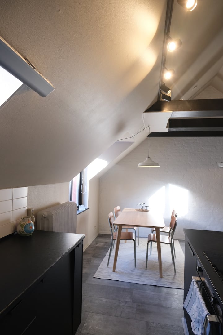 Mysig Vindslägenhet Med Egen Ingång Vid Möllan - 馬爾默