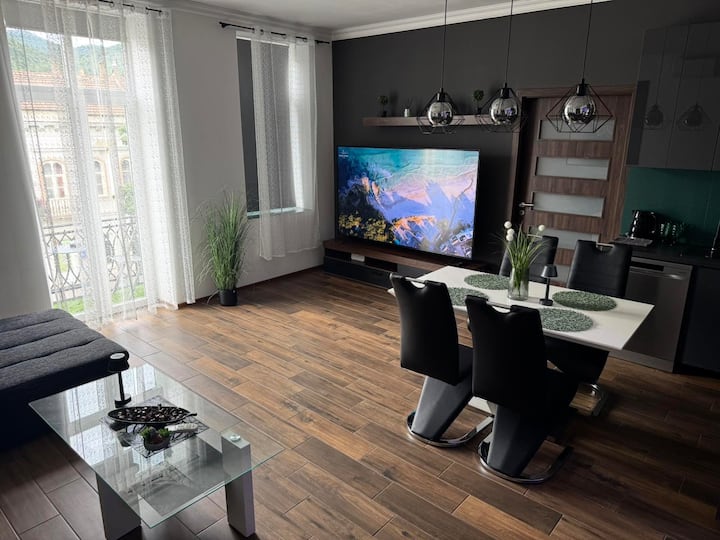 Newplace Luxury Apartment - Sárospatak