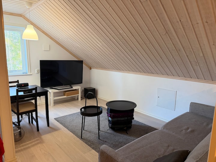 Lägenhet 15 Minuter Från Centrum - Uppsala