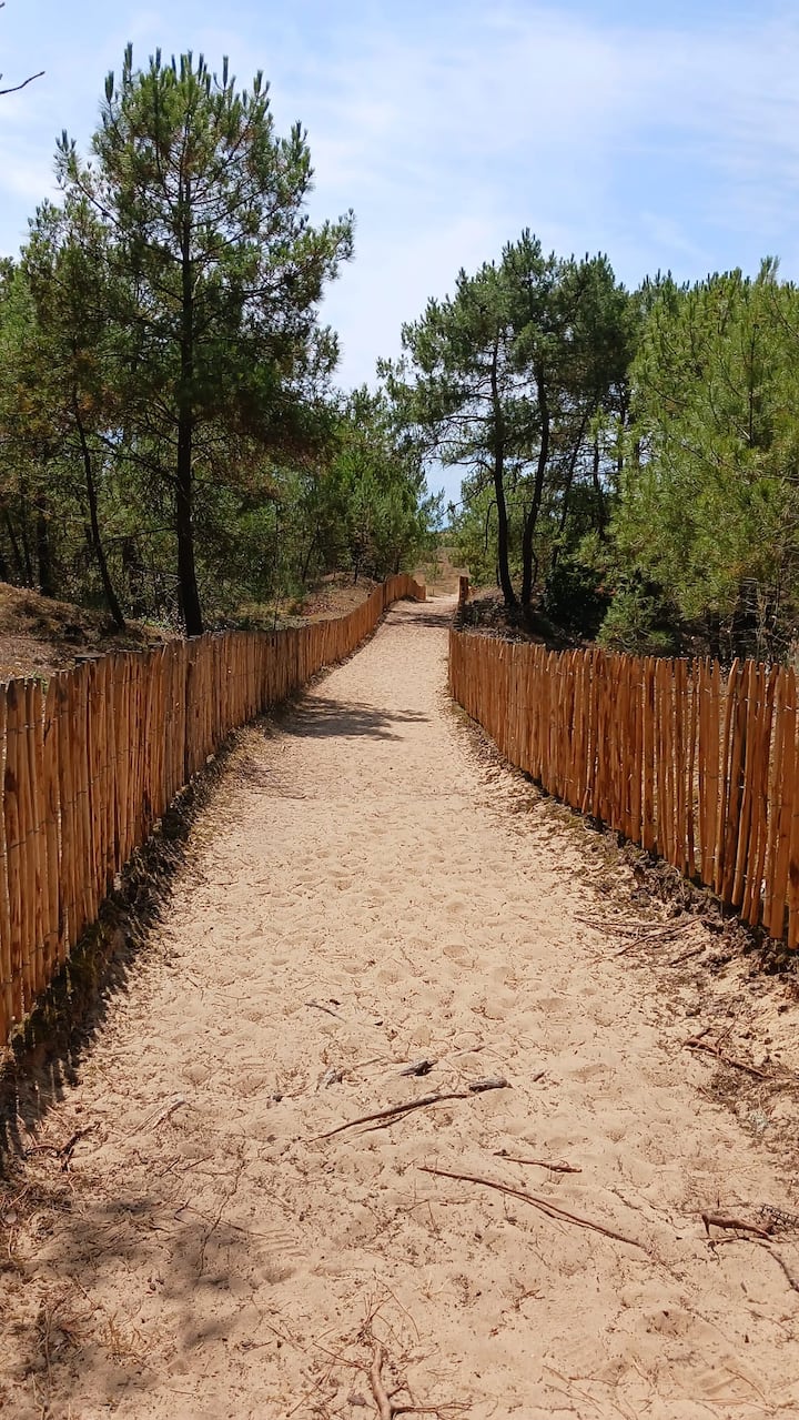 La Petite Maison Bleue à 190m De La Plage - La Faute-sur-Mer
