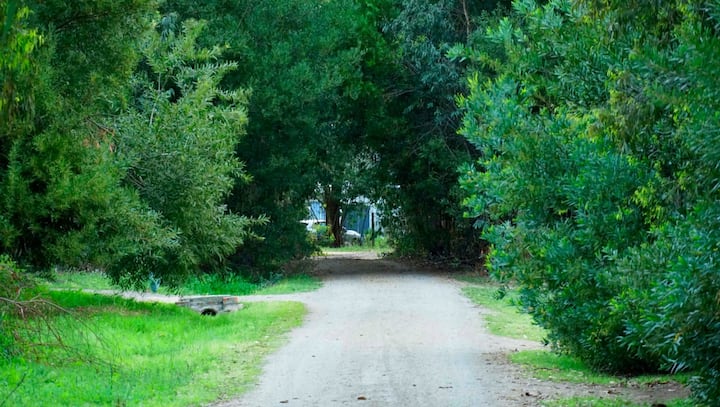 Cabaña En Bosque Mágico - Sauce de Portezuelo