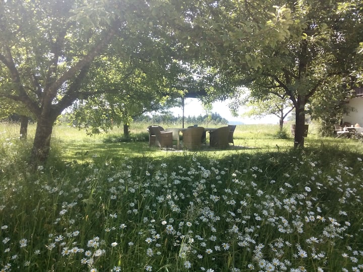 Gemütliche Ferienwohnung Im Grünen Mit Außenpool - Taching am See