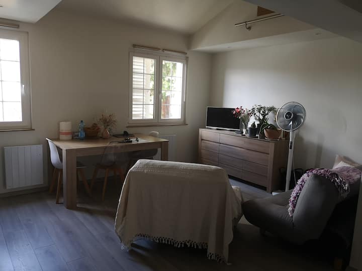 «&nbsp;La Montferrandaise&nbsp;» • 6 Pers • Tram • Wifi - Volvic