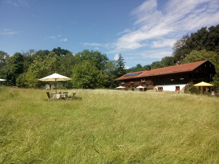 Süßes Ferienappartement Im Grünen Mit Außenpool - Waging am See