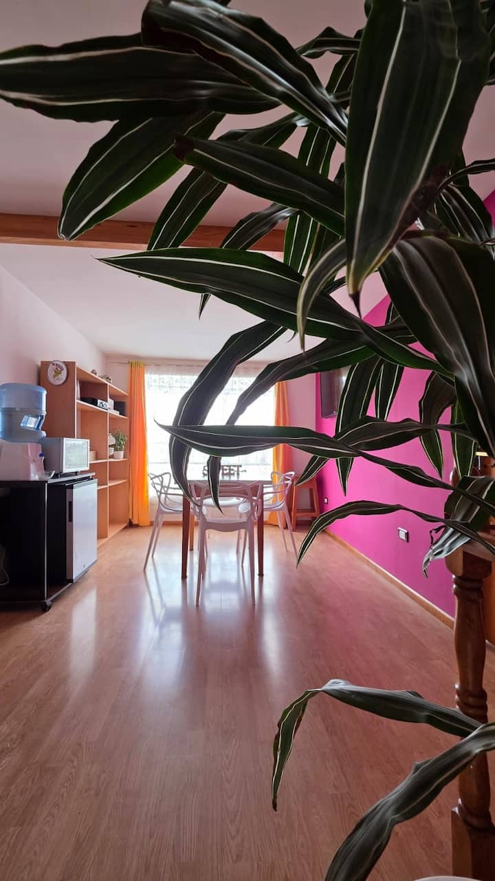 Flor De Amancay - Ushuaia