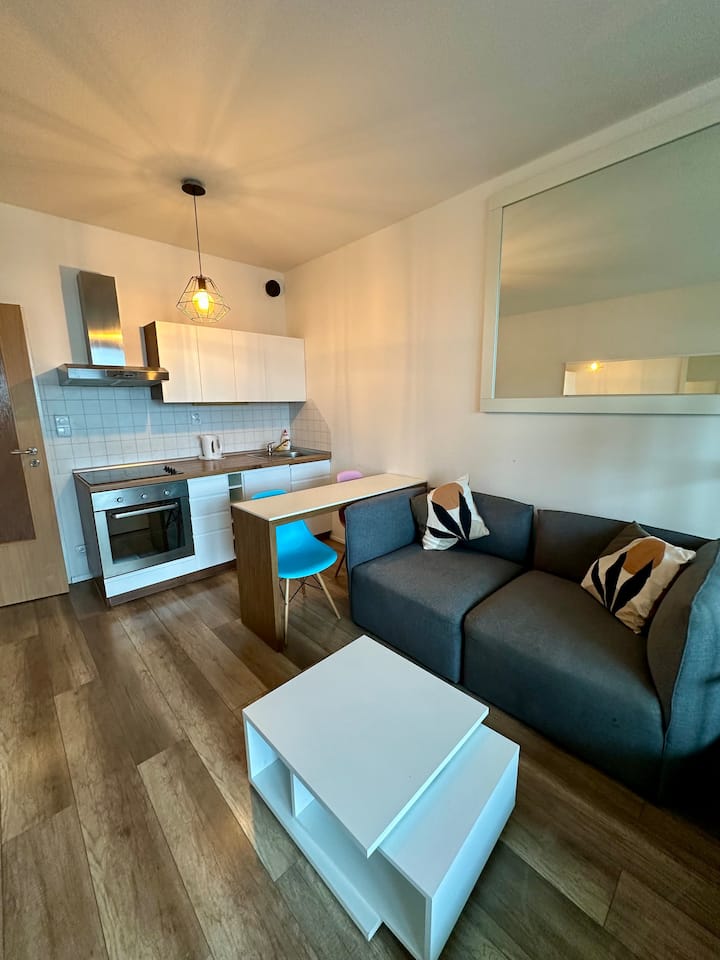 Terrace Apartment Near Centre, Parking, River Park - Prague