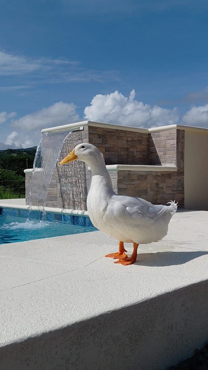 Capira Lidice Casa De 3 Habitaciones Zona De Bbq - Aéroport de Panama-Tocumen (PTY)