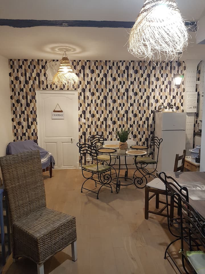 La Chambre Aux Fleurs Bleues (Free Park Bike) - Tournus
