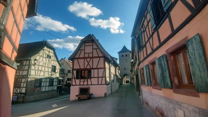 Maison De Ville Alsacienne Sur La Route Des Vins - Dambach-la-ville
