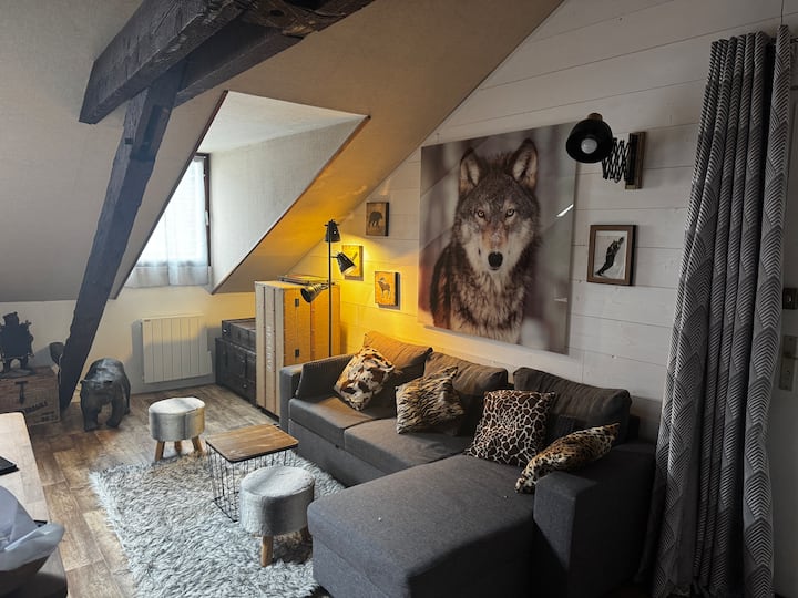 Studio Mansardé Hyper Centre - Cauterets