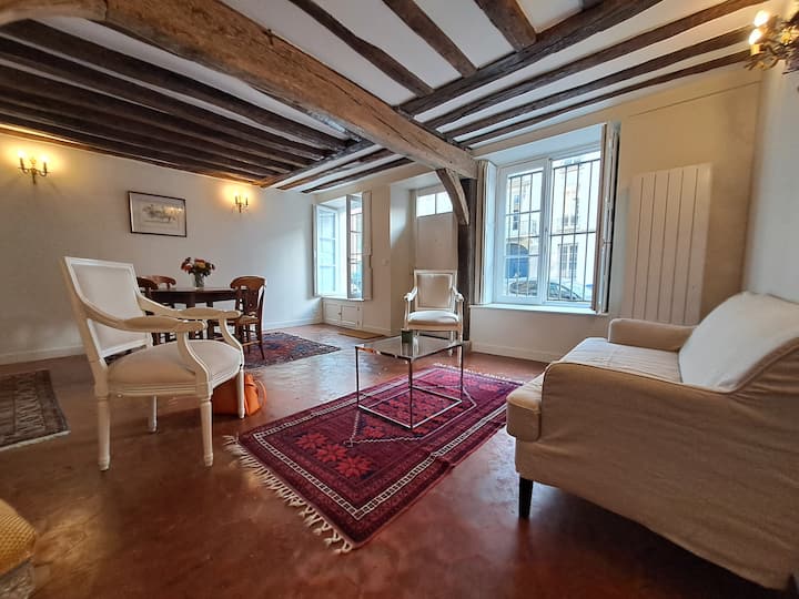 Duplex De Charme - Versailles Château - Cathédrale - Versailles