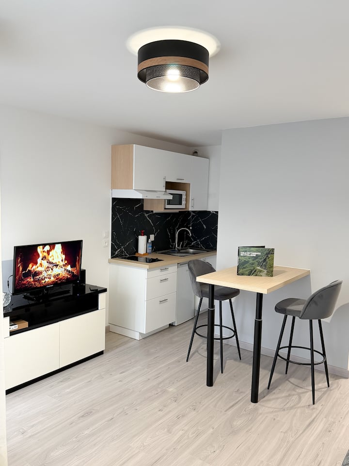 “Le Saphir” – Nid Douillet-lac Et Centre à Pied - Aix-les-Bains