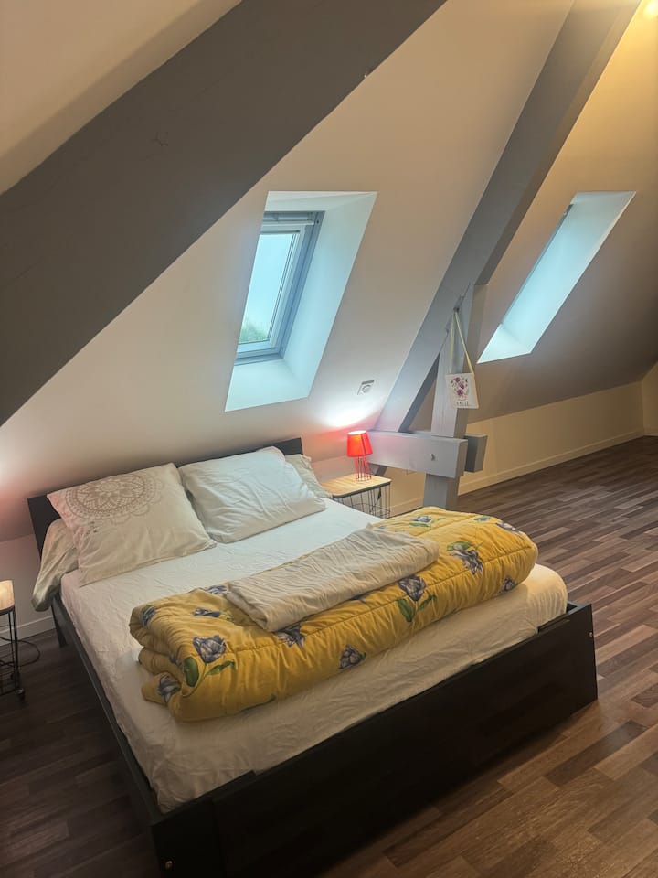 Super Appartement En Duplex - Saran