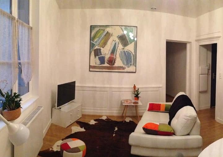 Bel Appartement Clair - Limoges