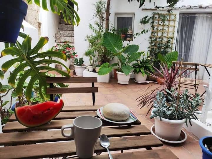 Apartamento Con Encanto En El Centro. Pet-friendly - Vejer de la Frontera