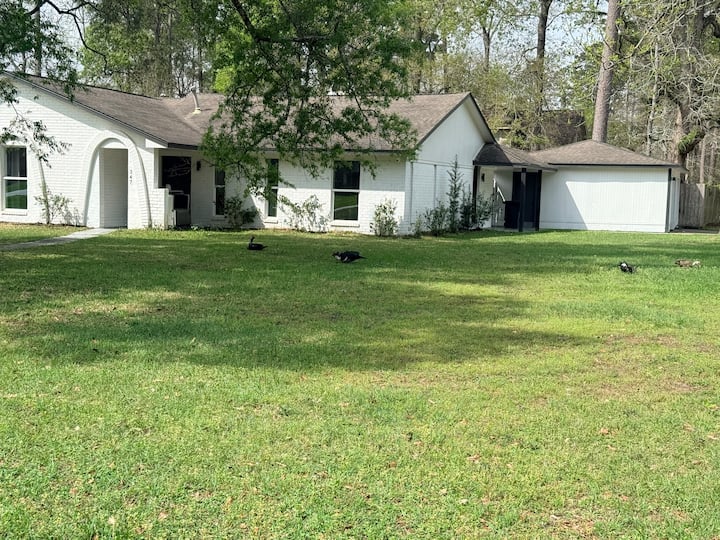 Cozy Roman Forest 3 Bedrooms W Gameroom & Backyard - Grand Texas, New Caney