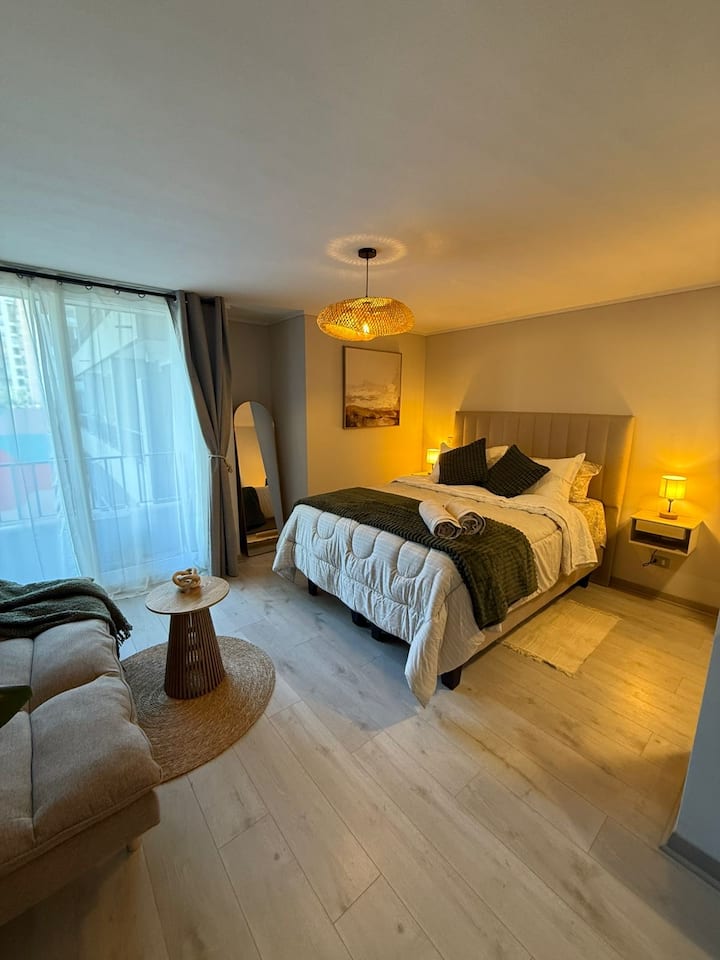 Studio En Santiago Ubicación Ideal+wifi + Netflix - Santiago (Chile)