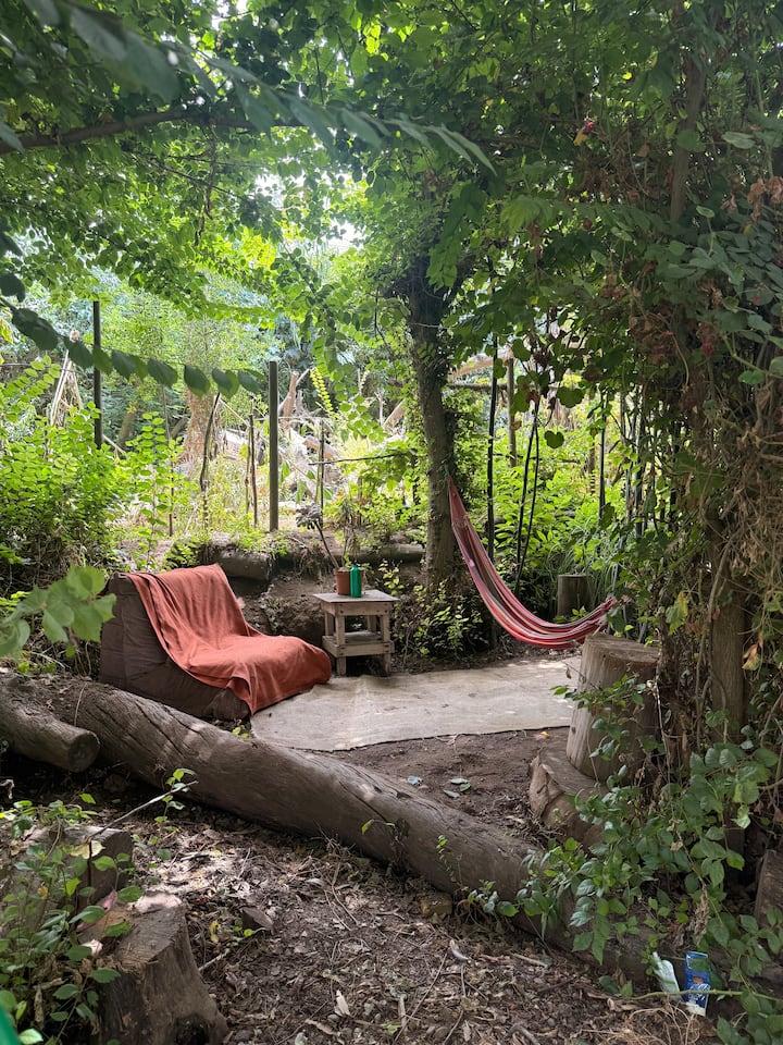 Habitación 2 Cipresientes - Zapallar